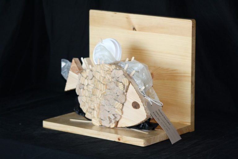 Construction Studies & Woodwork Projects – Hazelwood College